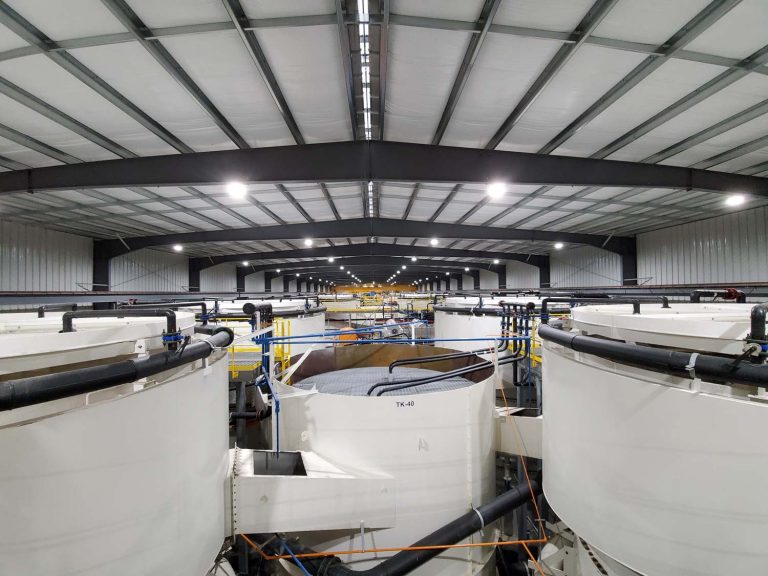 Arq selects Eriez flotation cavitation tubes for energy technology ...