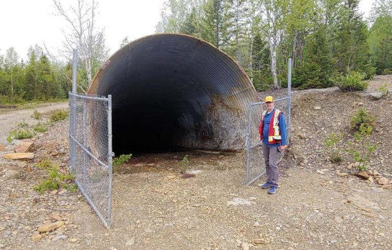 Resources at Chester grow with latest update from Canadian Copper ...