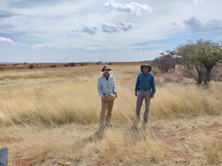 JV Article: Radius Gold options Tropico near Juanicipio/Fresnillo mines ...