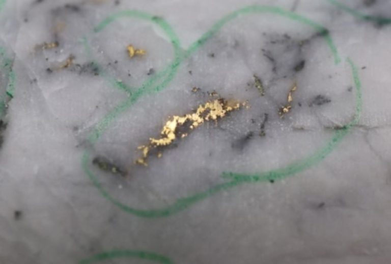 New Found Gold drills long and strong at Iceberg discovery - Canadian ...