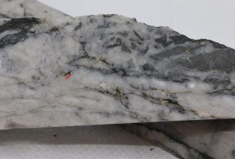 New Found tracks three new gold zones along Appleton fault for total ...