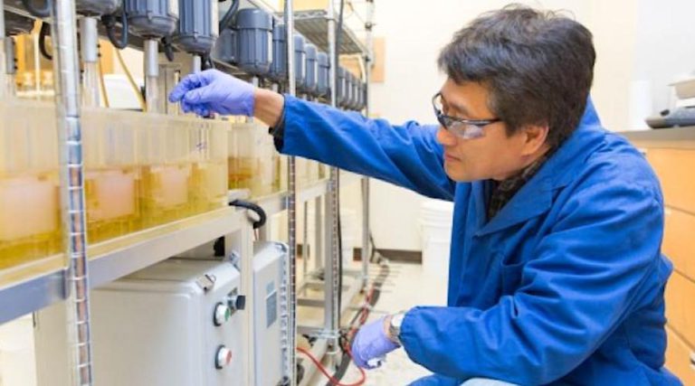 SRC offers Canada’s first solvent extraction cell for REE processing ...