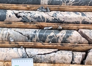 Equity Metals receives first assays from Cole Lake target at Silver ...