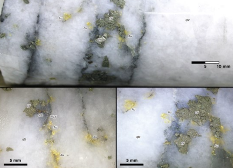 Onyx Gold reports 363 g/t over 0.5 metre at Munro-Croesus project ...