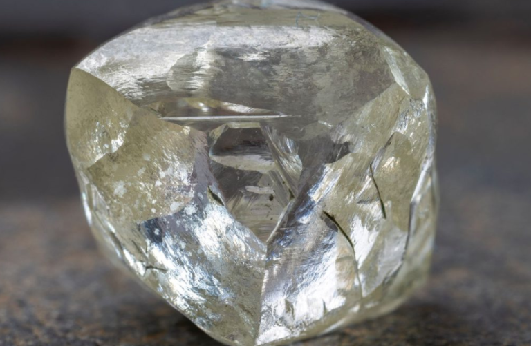 Tomra’s XRT technology and Insight deliver big results at Mothae ...