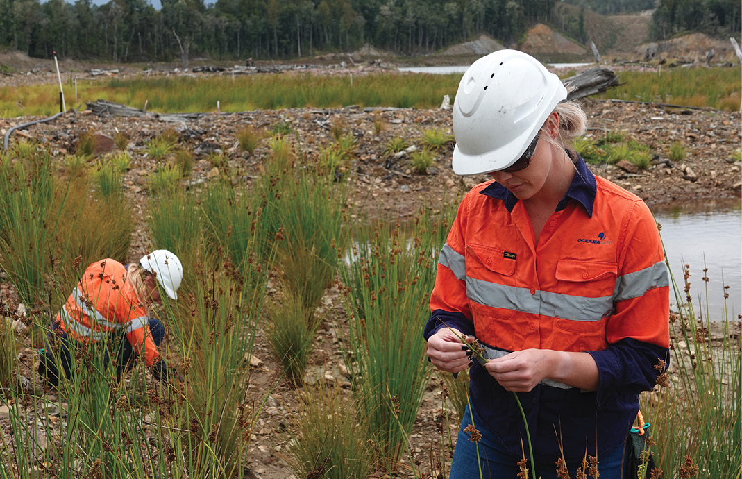The Reefton restoration project - Canadian Mining Journal