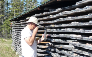 Norway House Cree Nation purchases Minago nickel-PGM project from ...