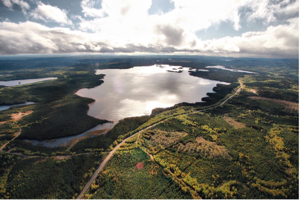 Ottawa funds Arianne's push for domestic phosphate processing ...