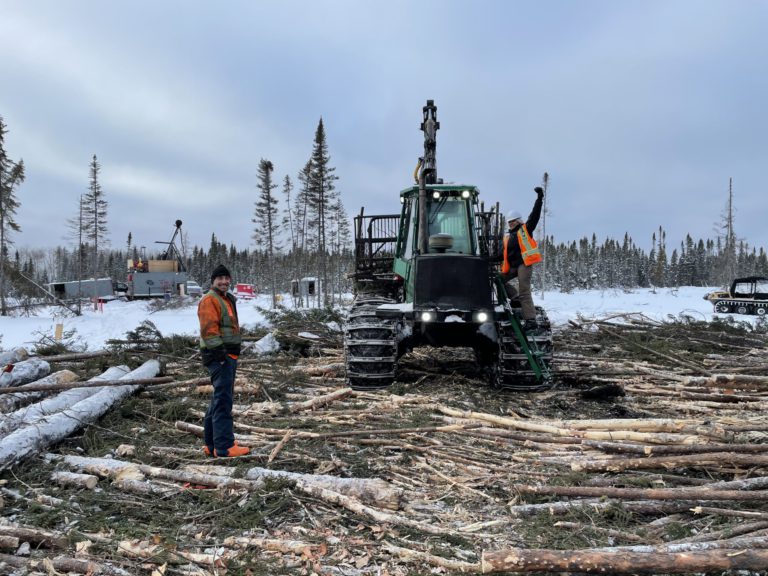 Amex unveils impressive results for Perron Gold Mine's first phase ...